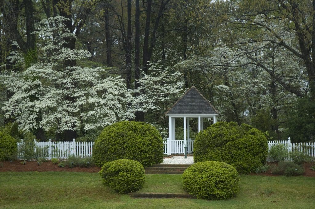 Spring Gardens - Norfolk Botanical Garden