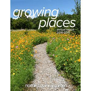 Norfolk Botanical Garden – Virginia's Largest Botanical Garden