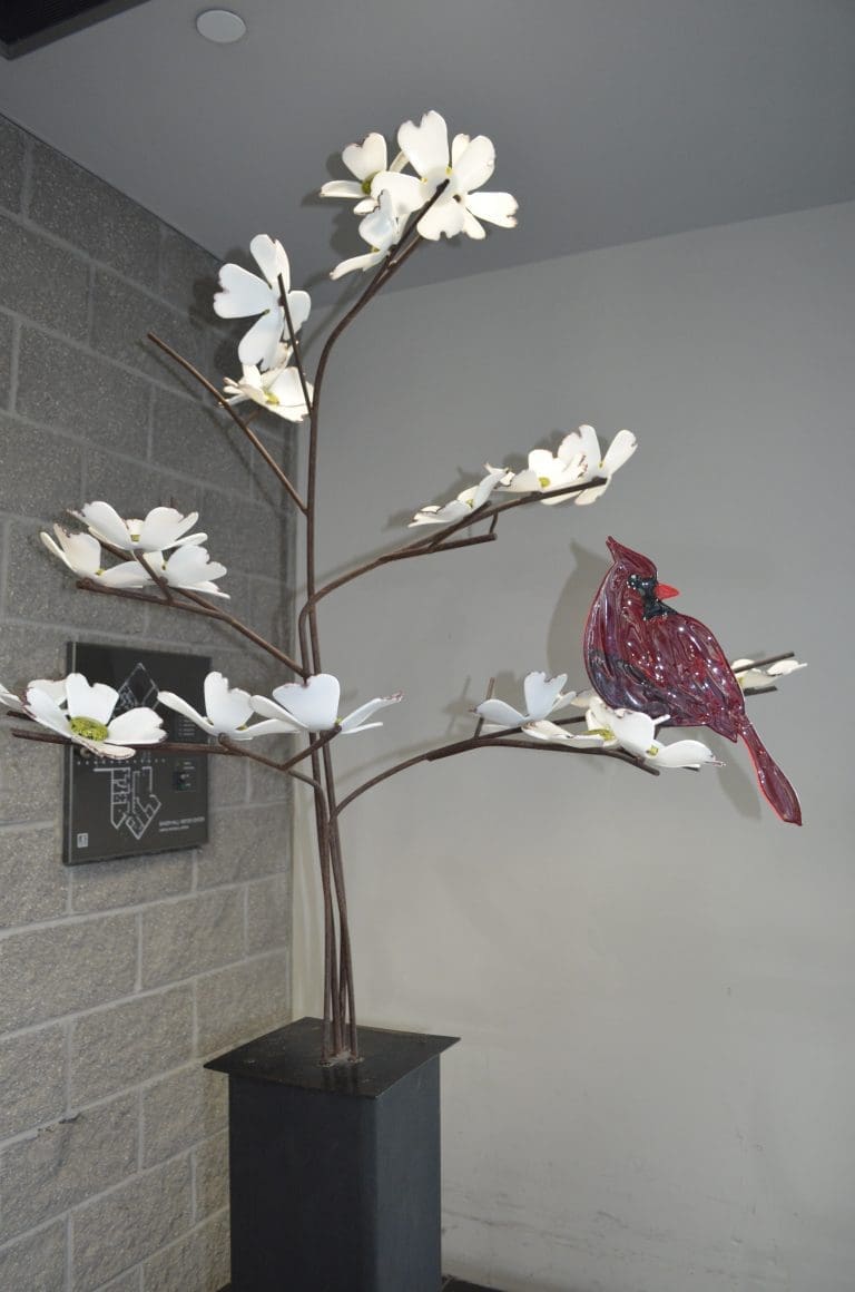 Virginia (Cardinal on Tree) - Norfolk Botanical Garden
