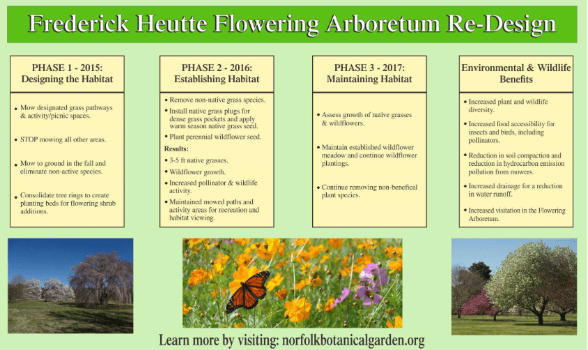 Fall Gardens - Norfolk Botanical Garden