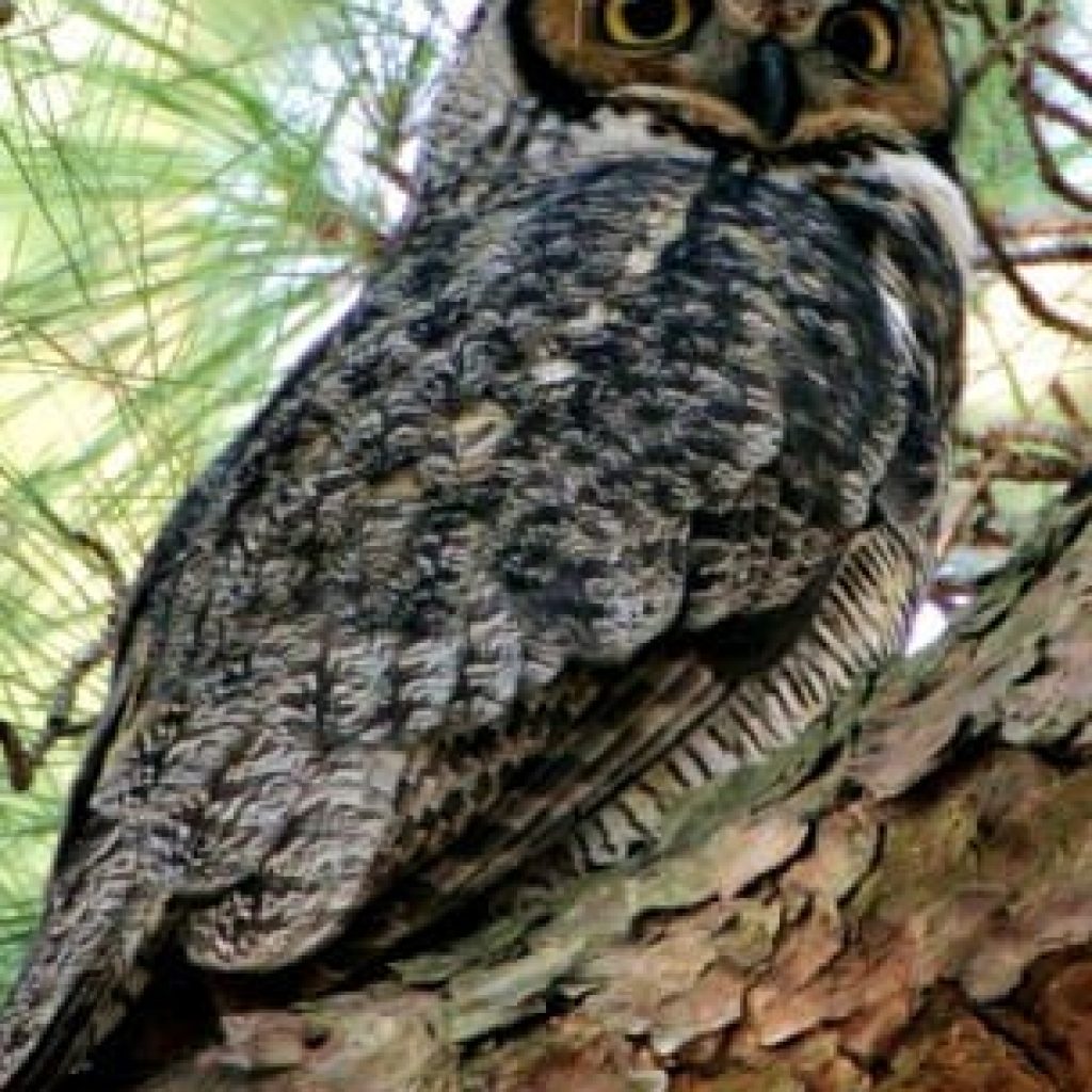 Events at Norfolk Botanical Garden | Year-Round Fun for Everyone