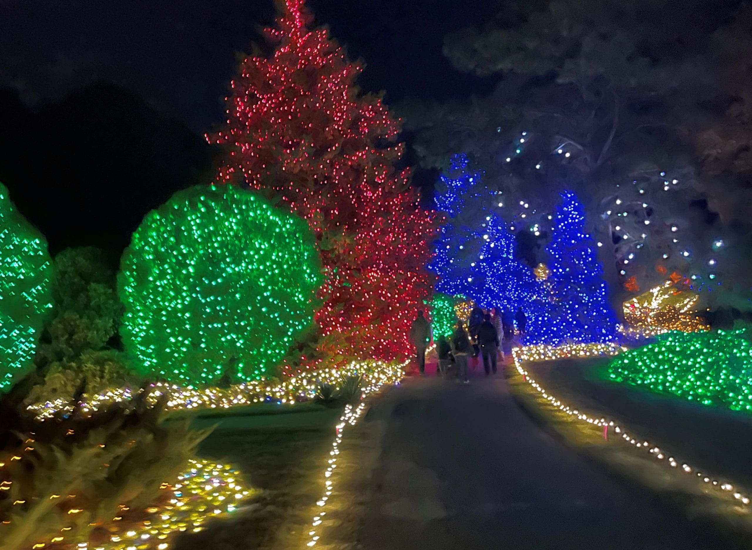 Norfolk Botanical Garden – Virginia's Largest Botanical Garden