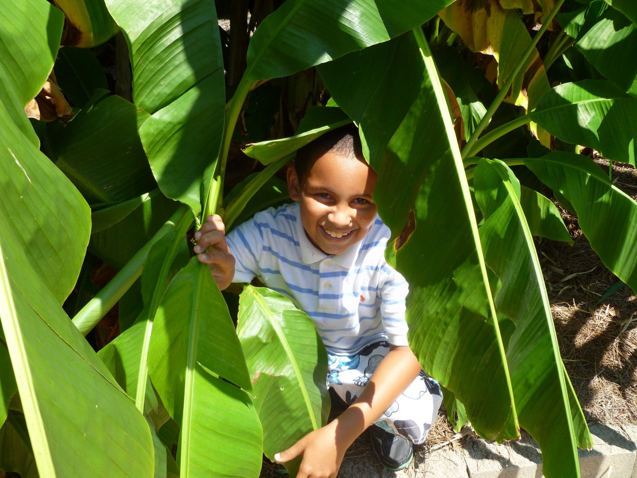WOW Children's Garden | Family Fun at Norfolk Botanical Garden