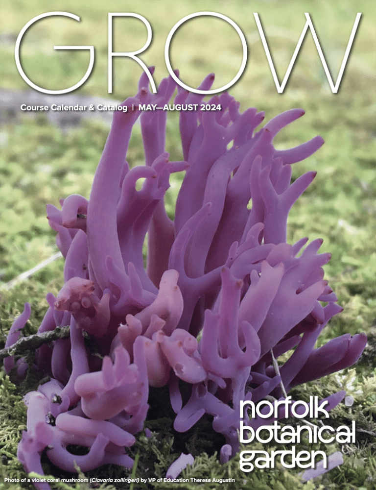 Norfolk Botanical Garden | Virginia's Premier Nature Experience