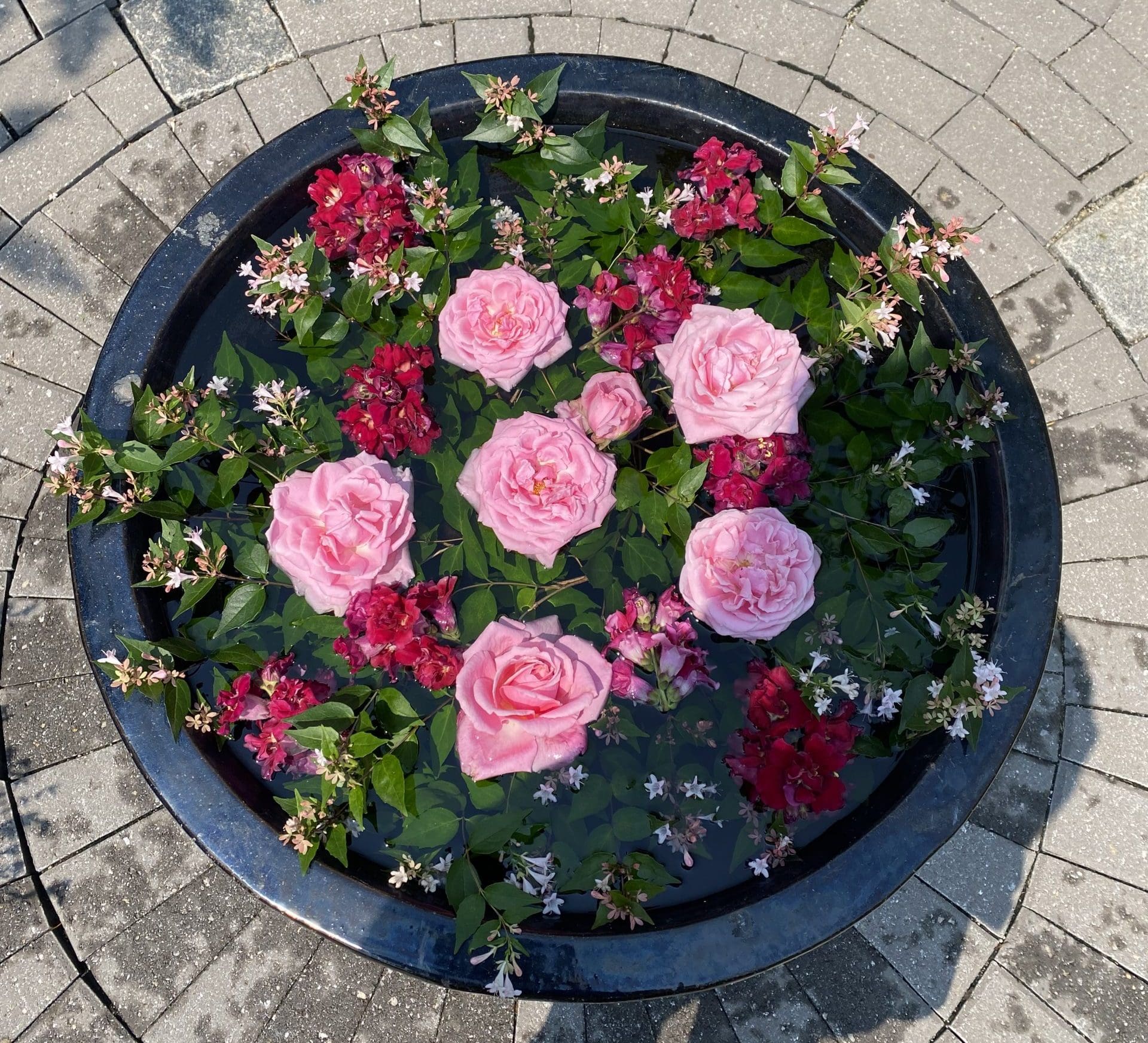 SOLD OUT Making a Reflection Bowl - Norfolk Botanical Garden