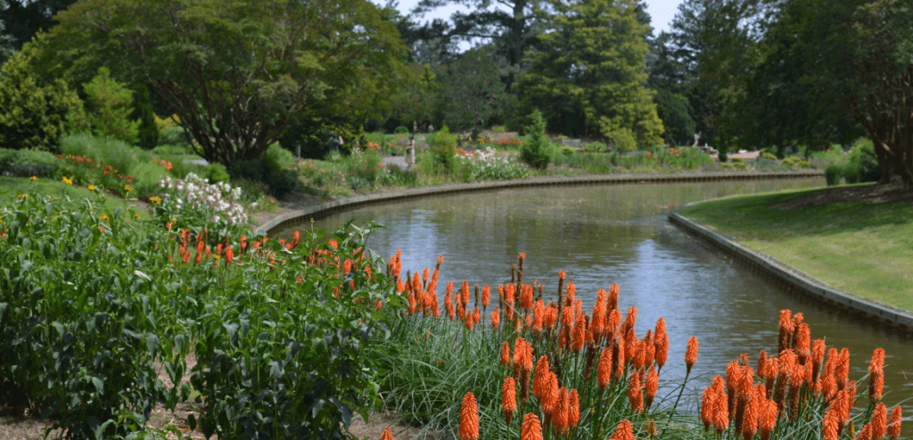 Norfolk Botanical Garden Horticulture Highlights | Seasonal Blooms