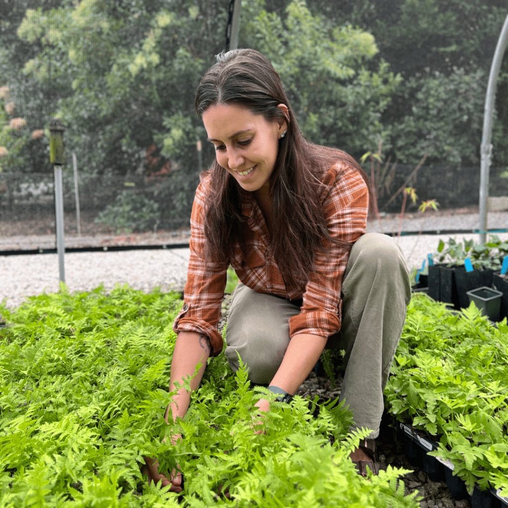 ONLINE Garden To-Go Kits - Norfolk Botanical Garden