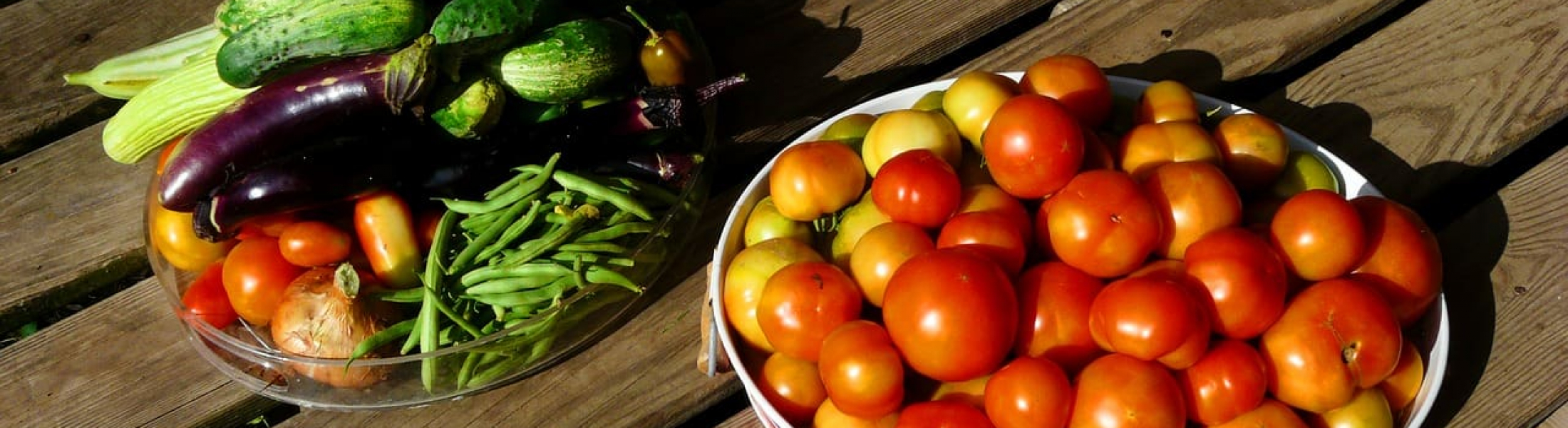Summer Vegetable Garden: Getting Started in June - Norfolk Botanical Garden